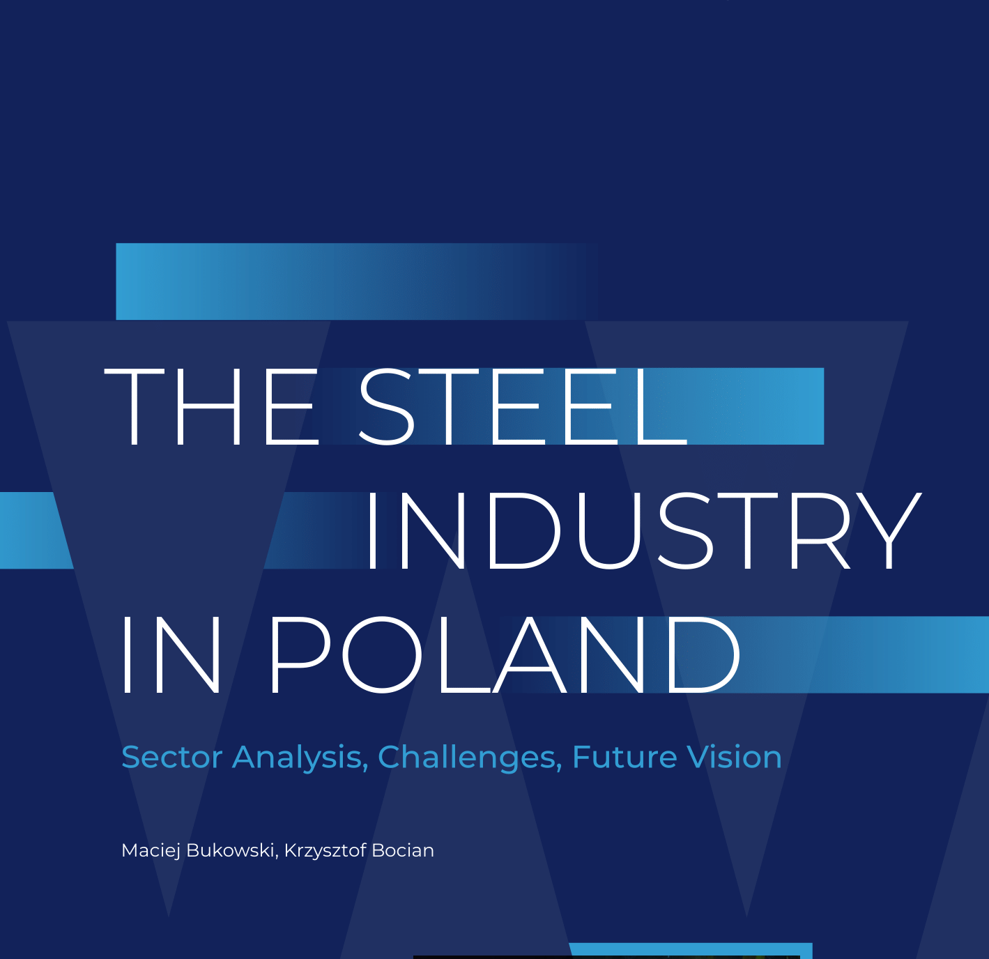 Report: THE STEEL INDUSTRY IN POLAND - WiseEuropa