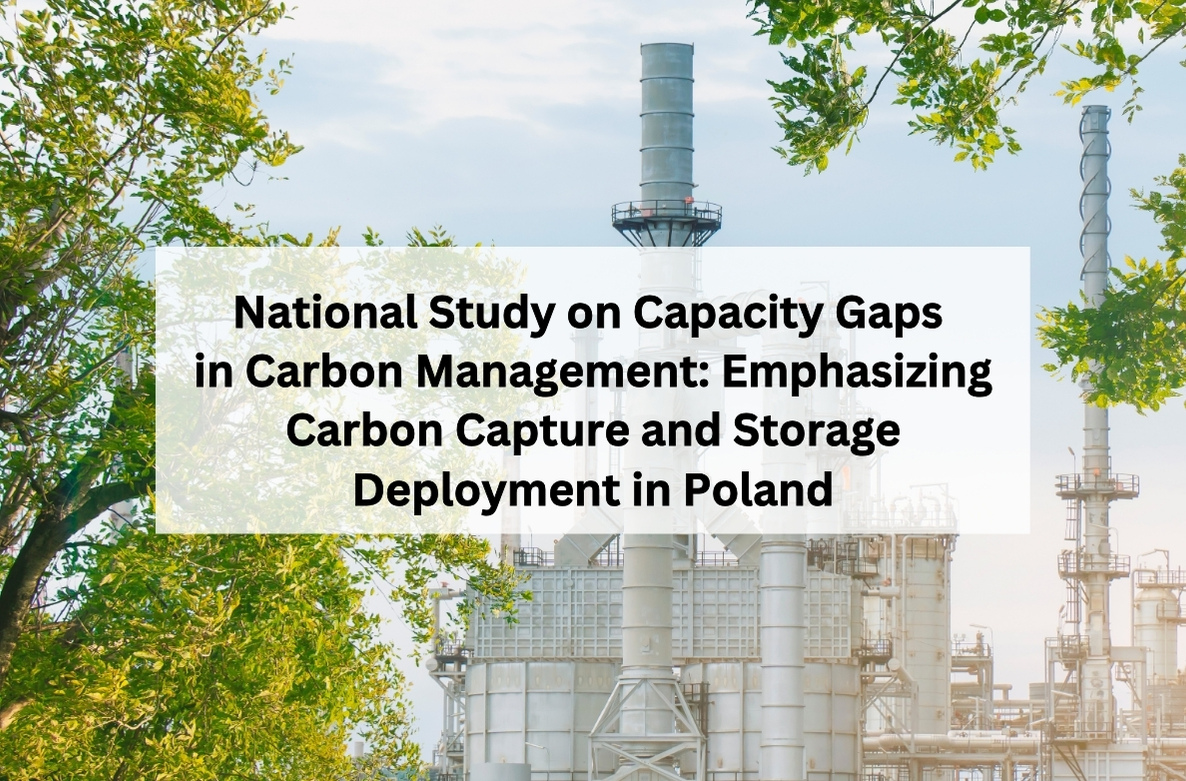 National Study on Capacity Gaps in Carbon Management - WiseEuropa